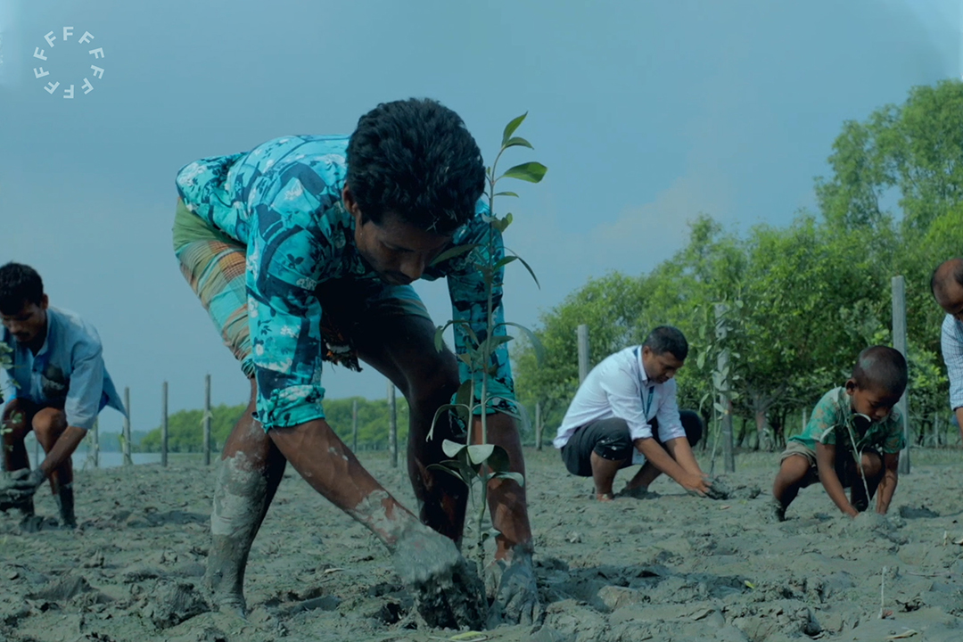 Mangroves: A nature-based solution for climate adaptation - Friendship NGO