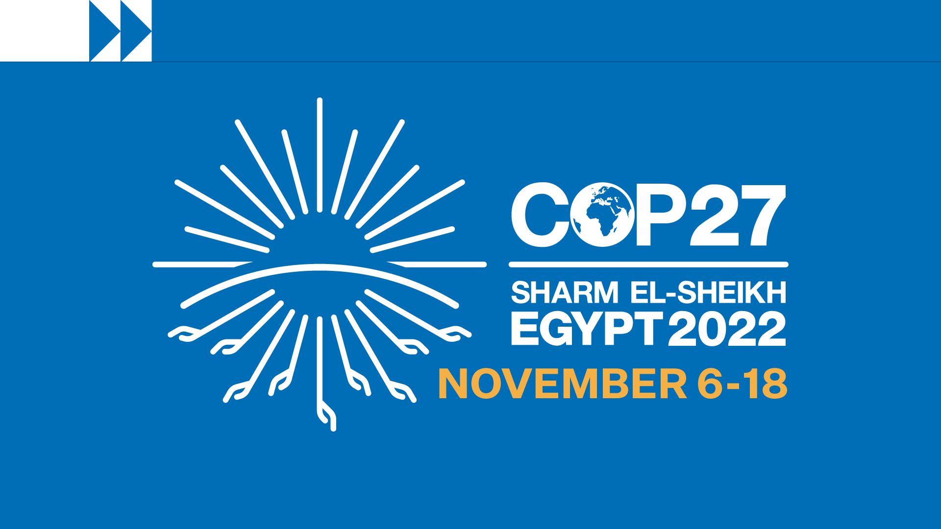 Friendship at COP27 - Friendship NGO