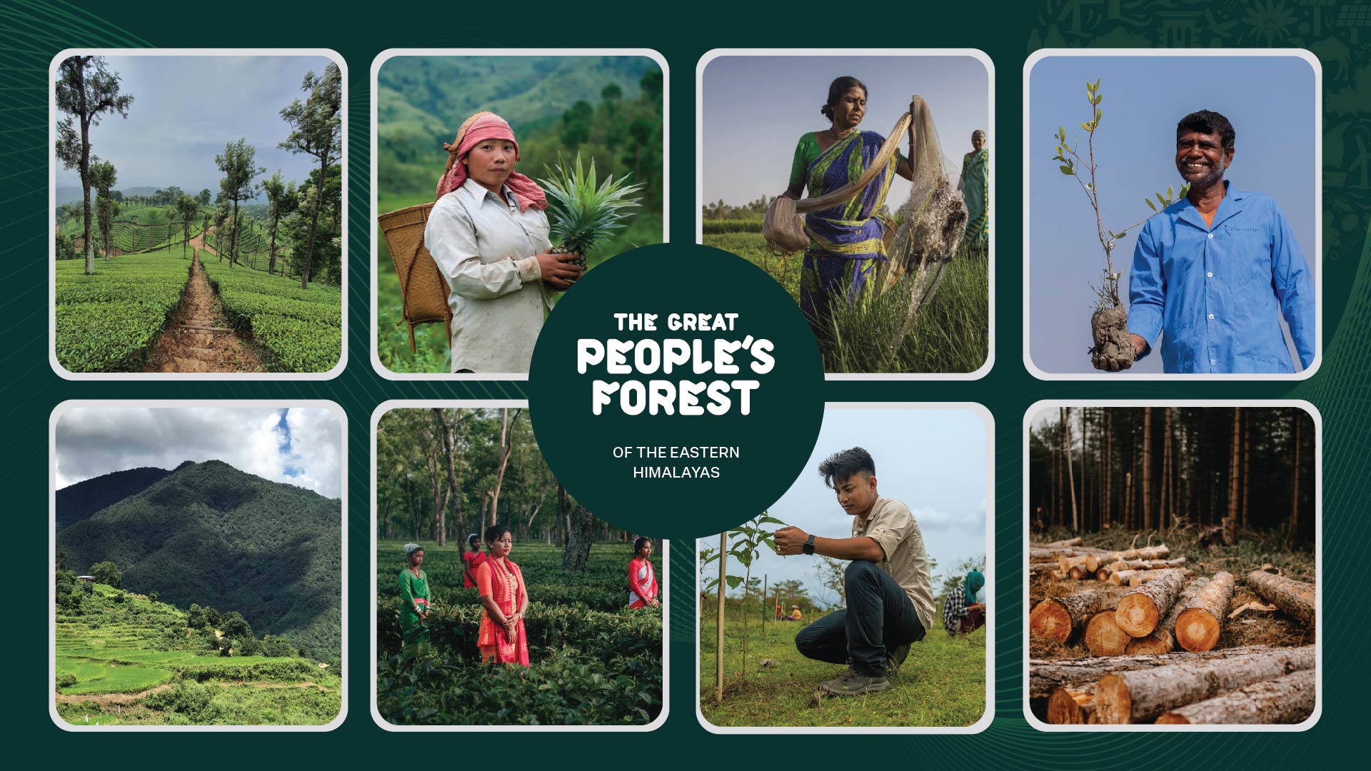 Mountains to Mangroves: Climate Resilience in the Eastern Himalayas ...