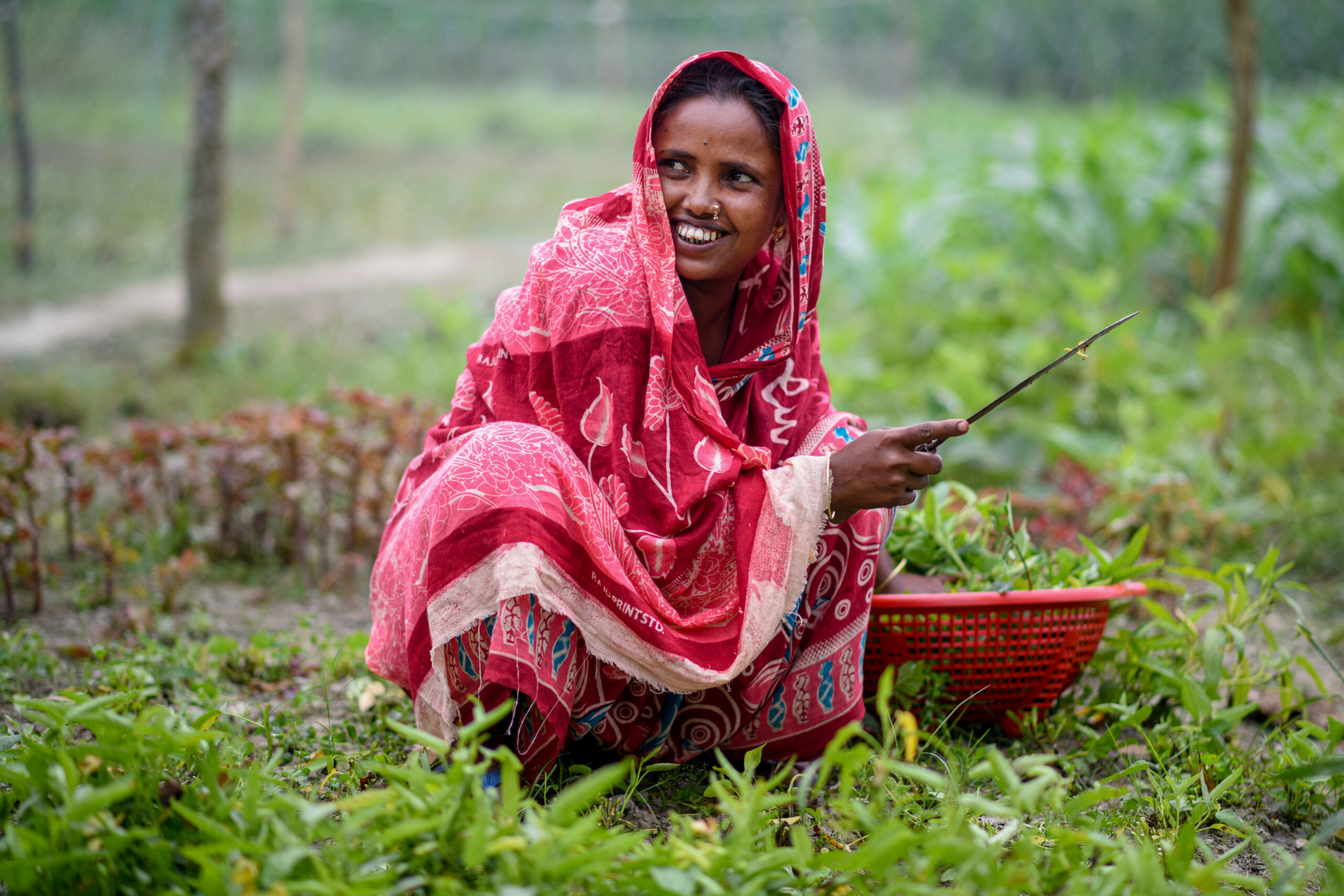 Women in focus: Stories of light and hope - Friendship NGO