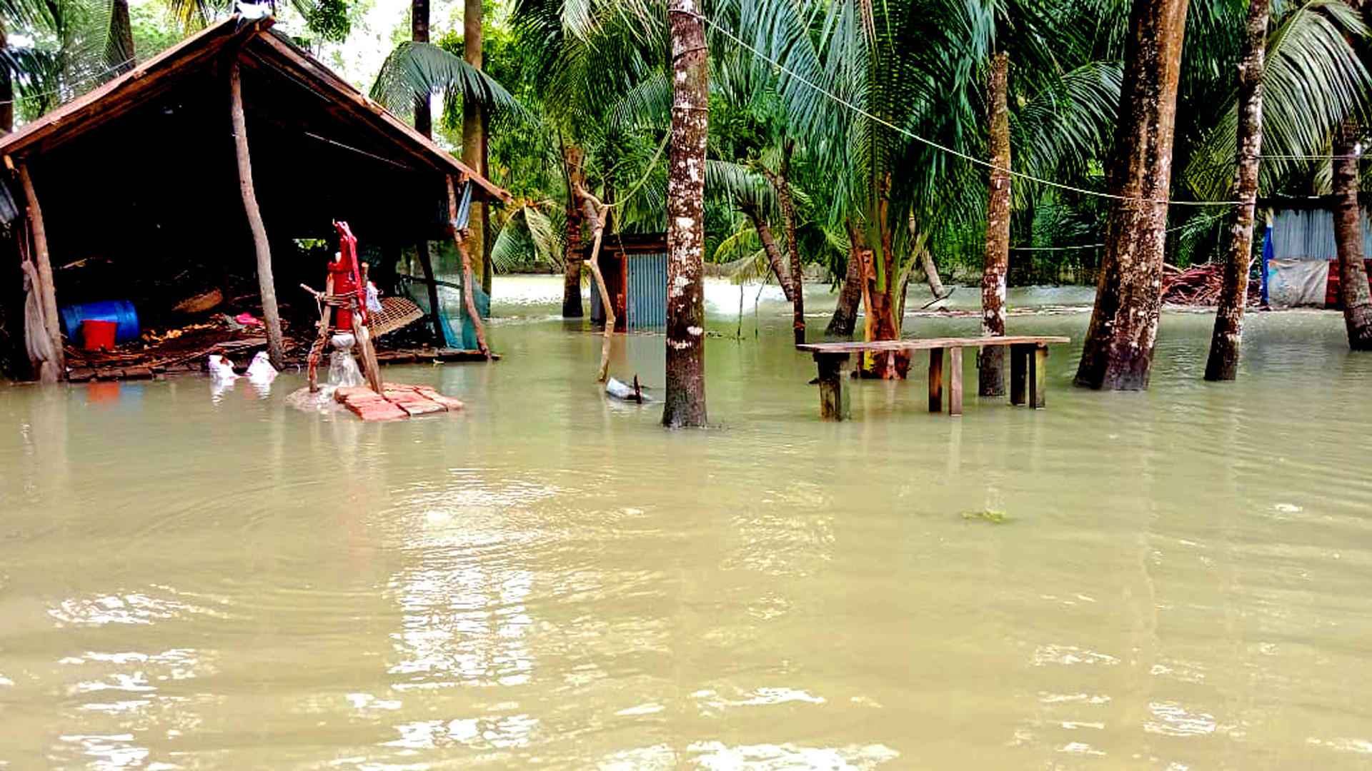 Cyclone Remal: Voices from the field - Friendship NGO