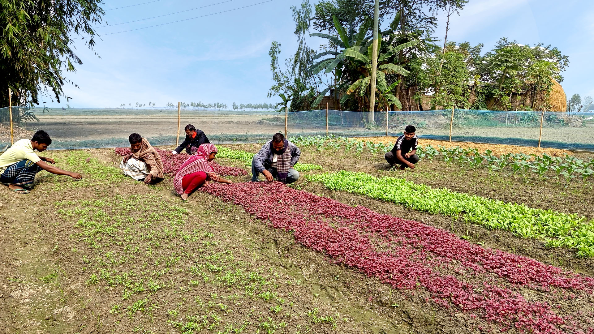 Power to the People - Friendship NGO